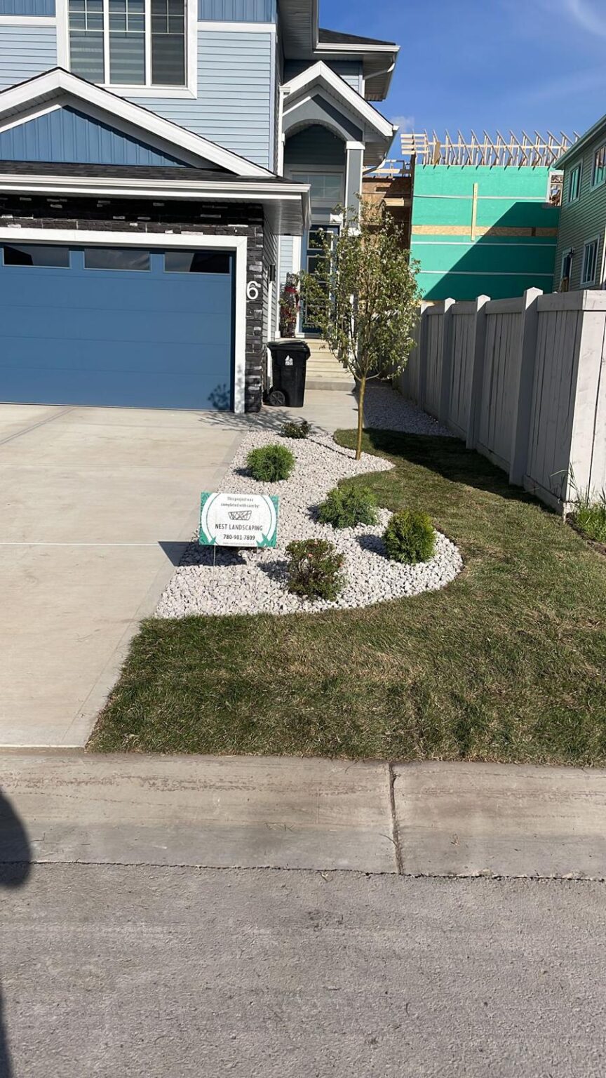Trees and Shrubs - Nest Landscaping | Premium Plants for Your Landscape